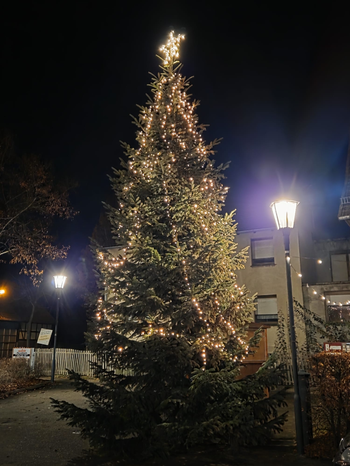 Mingeröder Bürgerbaum - Mingerode